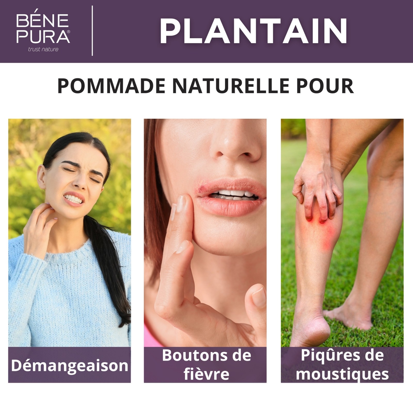 ᐉ Pommade Plantain pour les Éruptions cutanées et Démangeaisons - 40ml ...