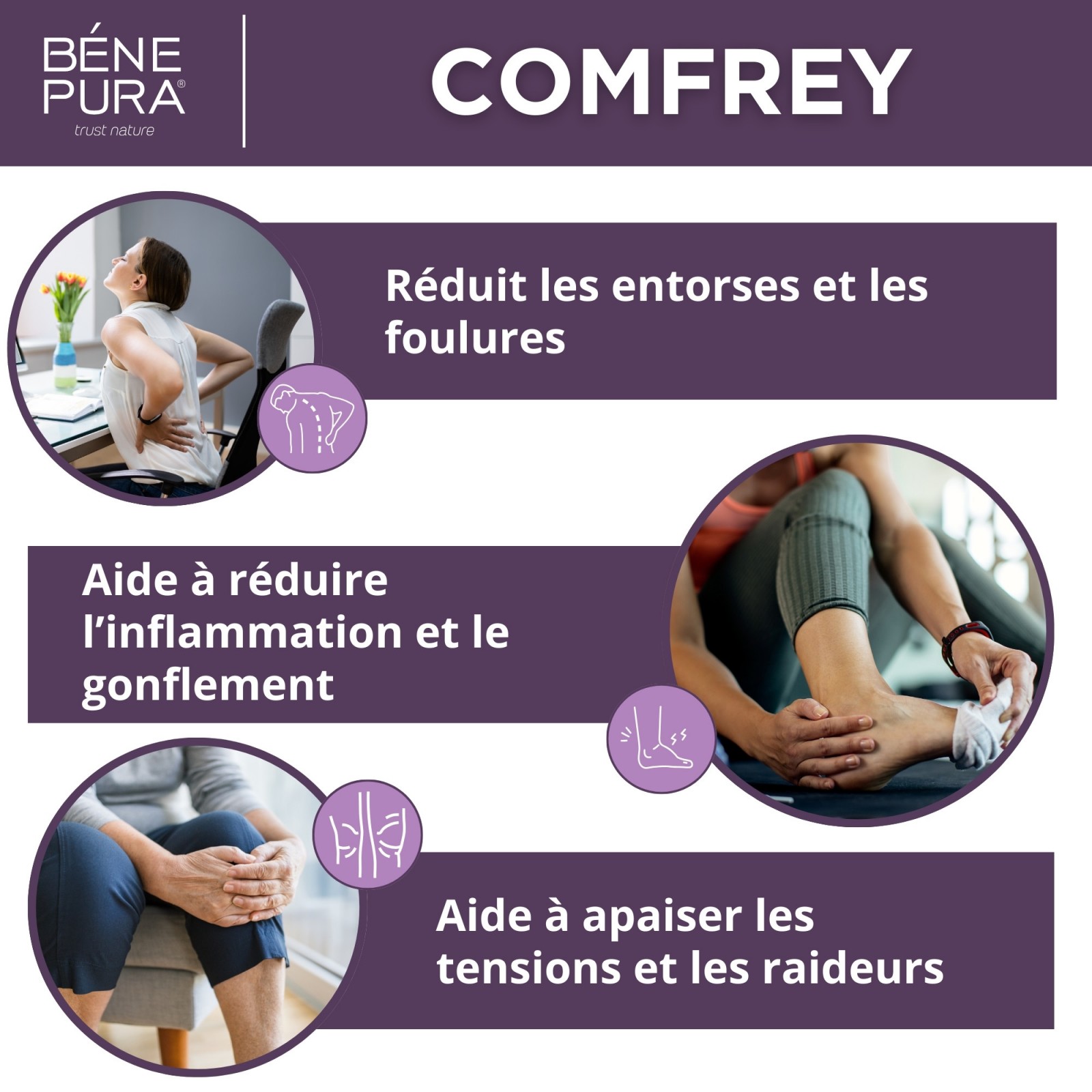 ᐉ Pommade de Consoude pour douleurs Articulaires et Musculaires - 40ml ...